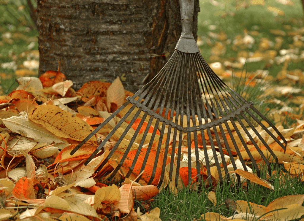 The Best Leaf Raking Hacks for Chicago Homeowners | Eden Lawn Care and ...