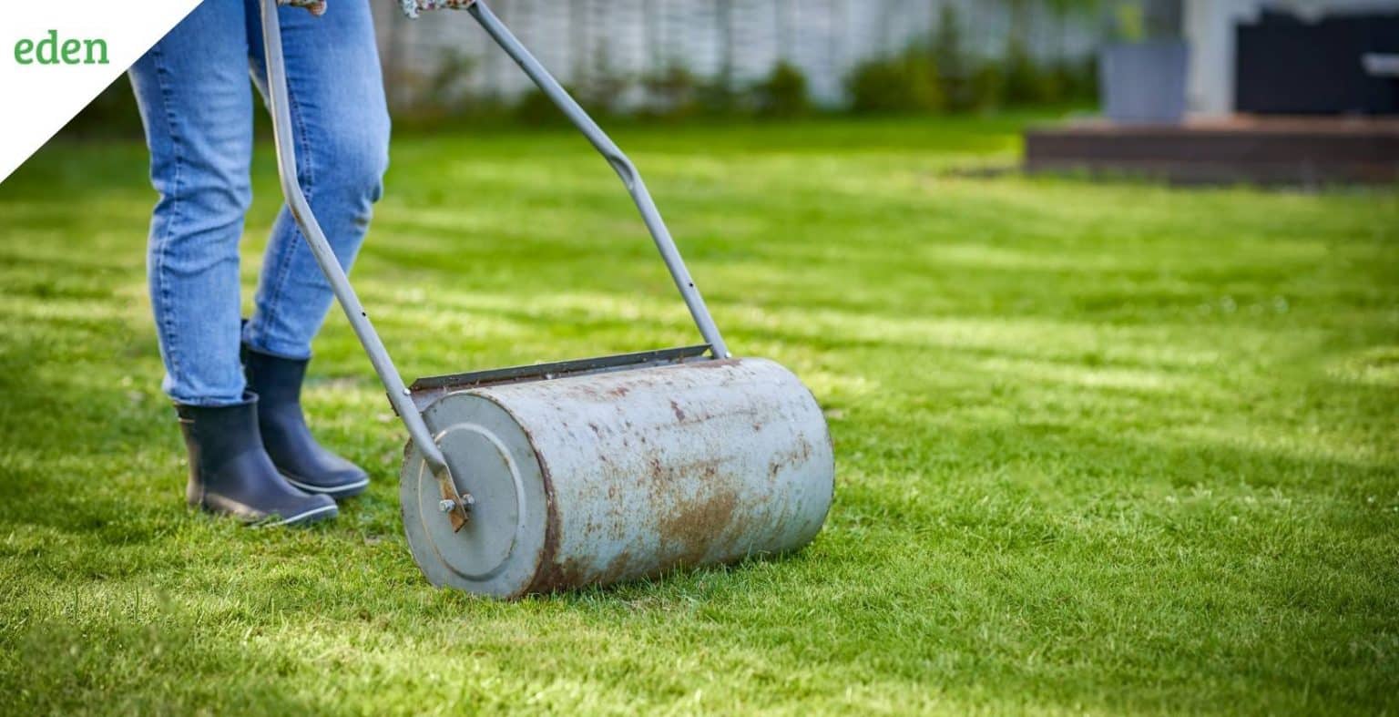 Important Things To Know About Dethatching A Lawn | Eden Lawn Care and ...