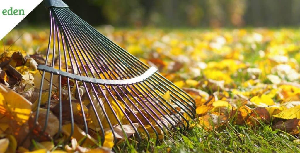 6 Best Power Rakes for Your Yards | Eden Lawn Care and Snow Removal